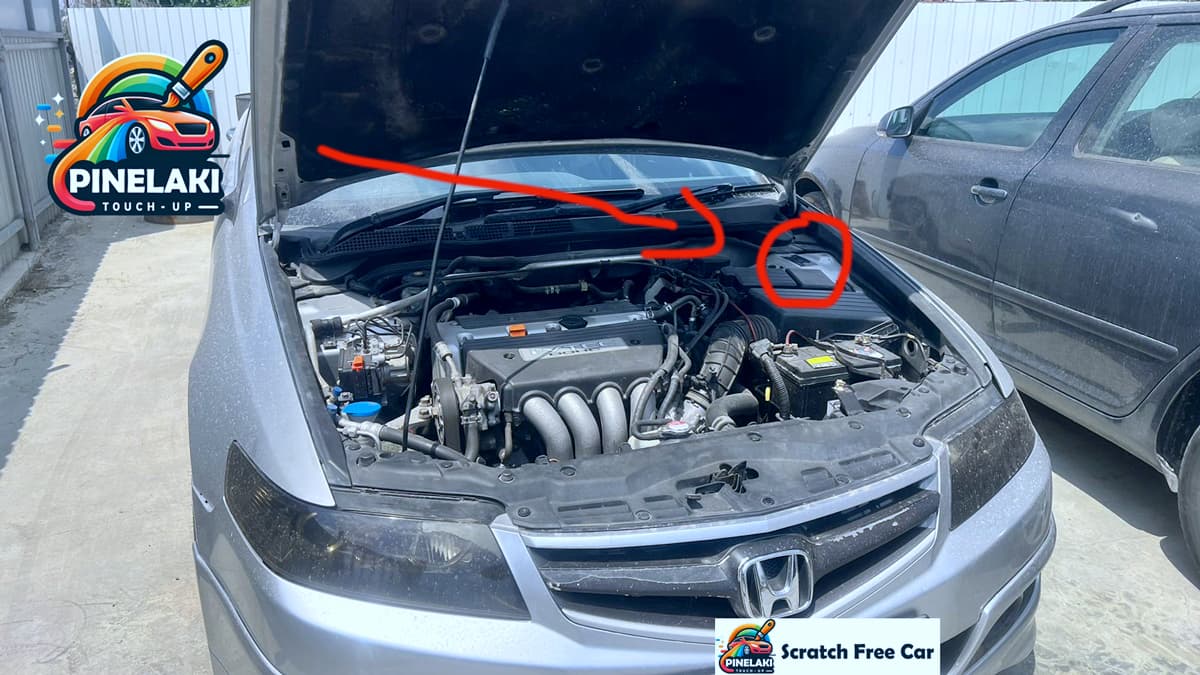 Finding Your Honda Accord's Paint Code (2002-2007) - Pinelaki